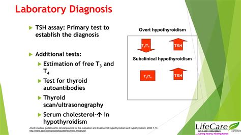 Interpretation Of Thyroid Function Tests In Pregnancy Jyoti Bhaskar