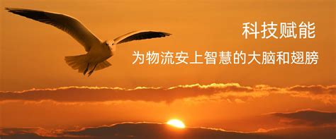 深圳市大洋供应链管理有限公司