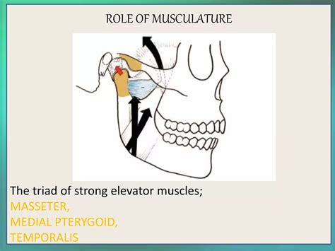 Centric Relationpptx