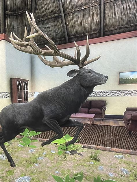 Best Red Deer Images On Pholder Nature Is Fucking Lit The Hunter And Wildlifephotography