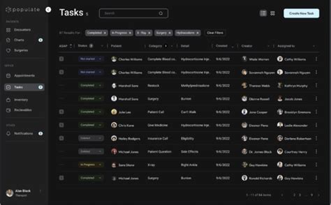 create you saas web app with bubble io by brindusanraul fiverr