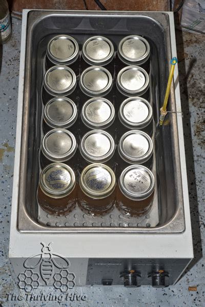 Honey And About Us The Thriving Hive System