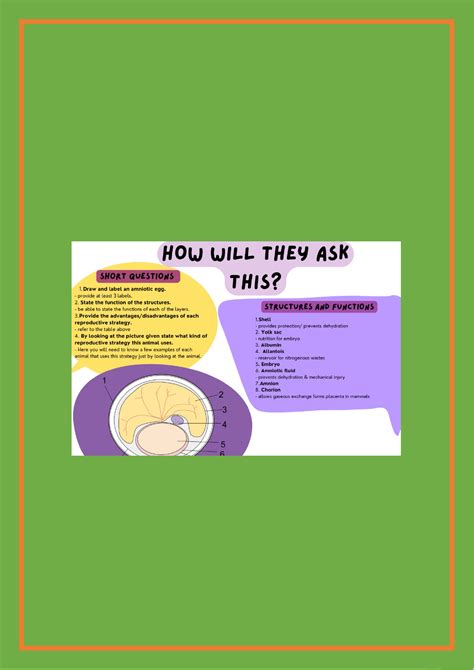 2 Amniotic Egg Amniotic Egg Structures And Function How Will They Ask Short Questions This