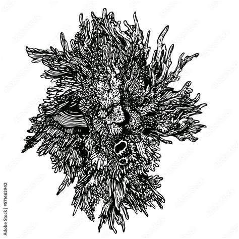 Black And White Moss Sketch With Tree Bark Tree Fungus And Different