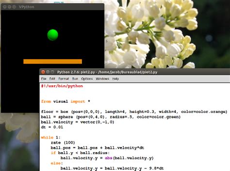 python can t find my installed application vpython ask ubuntu