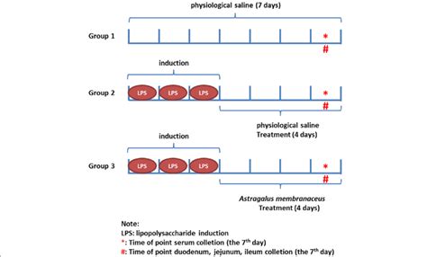 Experimental Design And Sampling Schedule Download Scientific Diagram