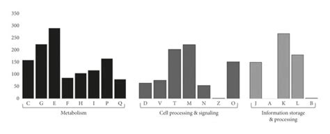 A Circular Representation Of Genome And Features Of The Arthrobacter