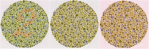 Tritan Color Blindness Test Warehouse Of Ideas