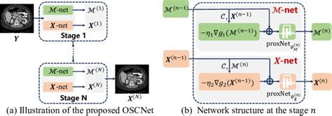 A Illustration Of Our OSCNet B At Any Stage N The Network