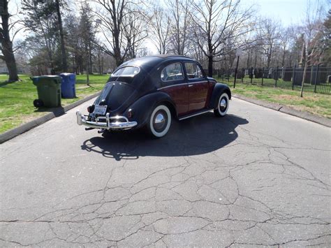 TheSamba Gallery 57 Oval Window Beetle
