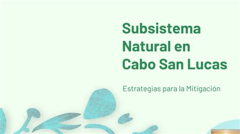 Subsistema Natural En Cabo San Lucas By Anibal Vega Armenta On Prezi