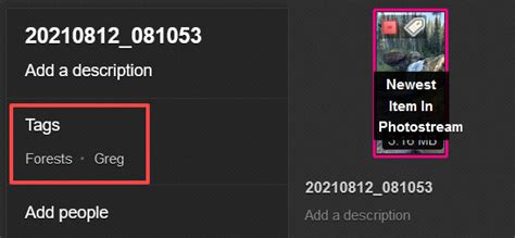 Solved Tags Not Uploading To Flickr Adobe Community 11109786