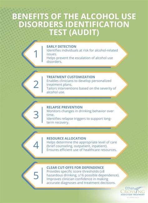 Alcohol Use Disorders Identification Test Audit Definition Components How It Works