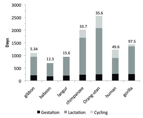 2 Comparison Of Gestation Length Lactation Length And Cycling Phase