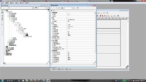 Oracle Report Builder 动态获取图片，显示在报表中report Buider 表体属性 选择图像源 Csdn博客