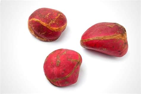 What Does Kola Nut Taste Like