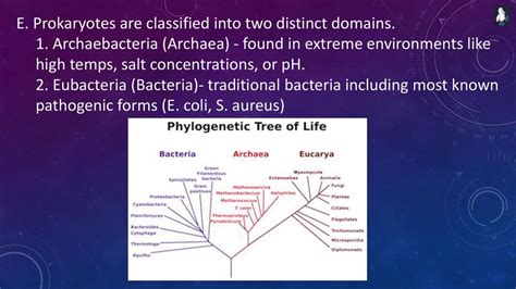 Ultrastructure Of Cells Ppt Download