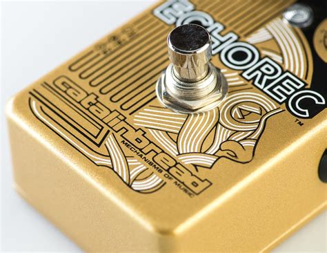 Catalinbread Echorec Digital Echorec Lauzon Music