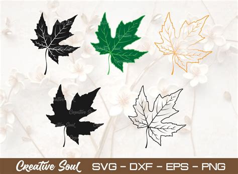 Maple Leaf Svg Cut File Canada Maple Graphic By Creative Soul · Creative Fabrica