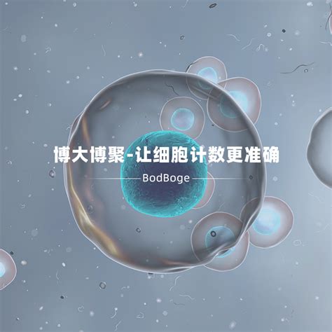 微生物计数仪 藻类细胞计数仪 实时活细胞成像仪 广州博大博聚科技有限公司