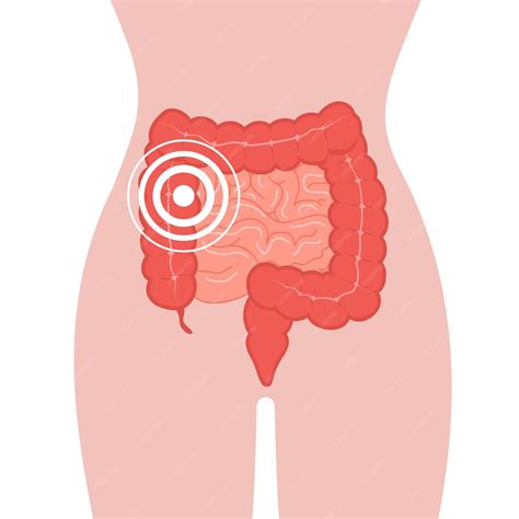 Premium Vector Pain In Intestines Colon Diseases Cancer Of Internal