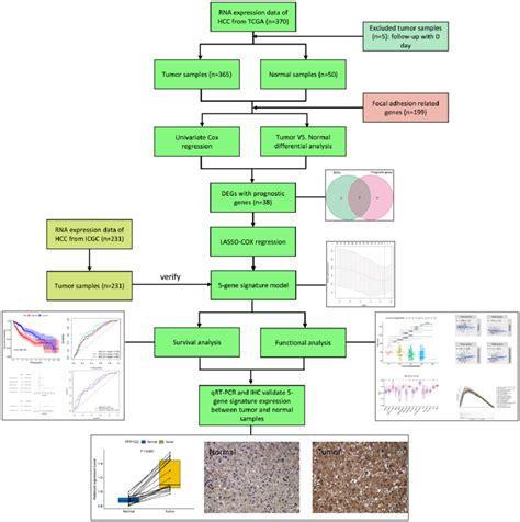 Flow Chart Of Data Collection Analysis And Experiment Download