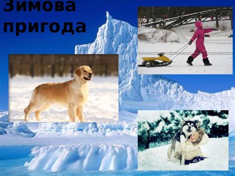Презентация Зимонька снігуронька «Зимова пригода за І Бондарчуком