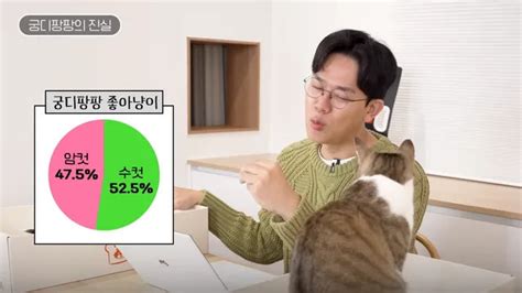 고양이 스킨십 가이드 최신판 해피라이프