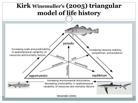 R And K Selected Species Powerpoint Presentation Pptx
