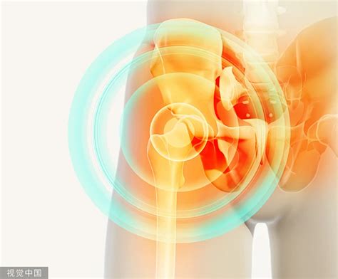 人体三维 3d 各种痛 透视骨骼 盆骨痛 花瓣网