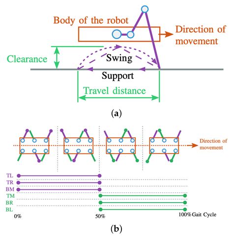 Applied Sciences Free Full Text Kinematic Tripod K3p A New Kinematic Algorithm For Gait