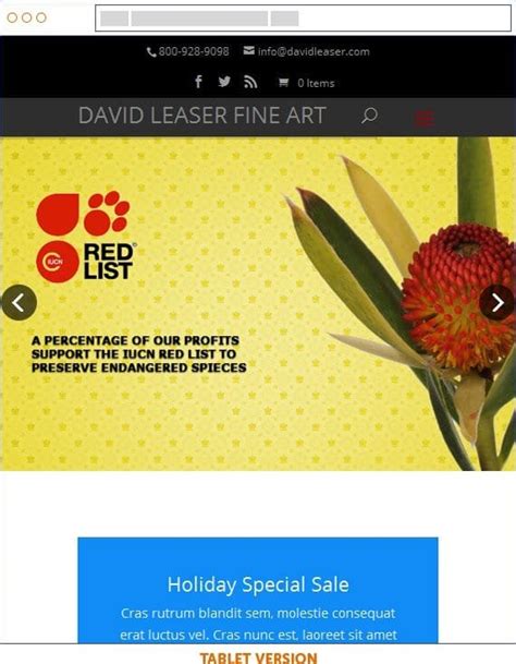 David Leaser Fine Art Councilsoft