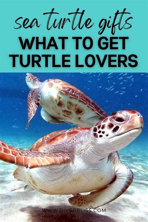 Unique Sea Turtle Ts 31 T Ideas For Turtle Lovers Artofit