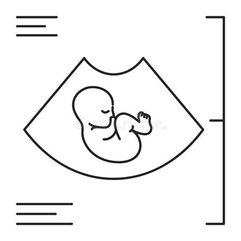 Fetus In Ultrasound Icon Pregnancy And Maternity Stock Vector