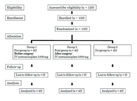 Flowchart Of Patient Recruitment And Study Group Randomization