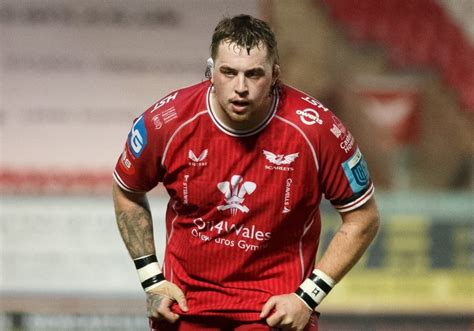Sam Wainwright Scarlets Rugby