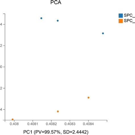 Pca Analysis The Plot Displays The New Dataset In Two Dimensional Download Scientific Diagram