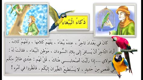 ذكاء الببغاء الصف الثاني الابتدائي المعلمة زهراء حسن Youtube