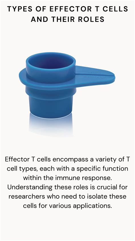 Ppt Optimizing Effector T Cell Separation Advanced Techniques Powerpoint Presentation Id