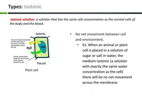 PPT Introducing Osmosis PowerPoint Presentation Free Download ID 2087870