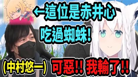 白上吹雪向聲優中村悠一介紹赤井心這號人物 說她曾經吃過蜘蛛 中村悠一不甘心的說他輸了wwhololive中文 Vtuber精華