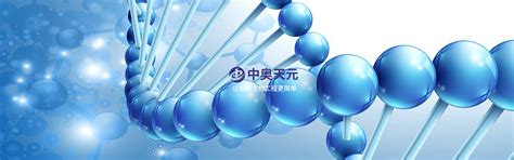 天津市中奥天元科技发展有限公司