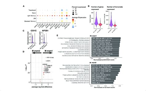 IgM Memory Cells A Transcriptional Markers For IgM Memory Cells In Download Scientific