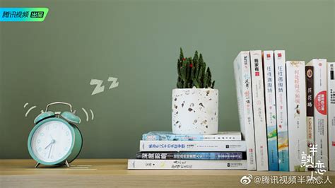 综艺《半熟恋人》 开播在即