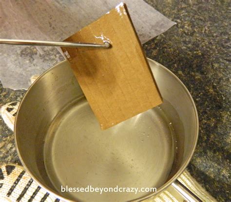 Diy Fire Starters Only Requires Two Unexpected Items