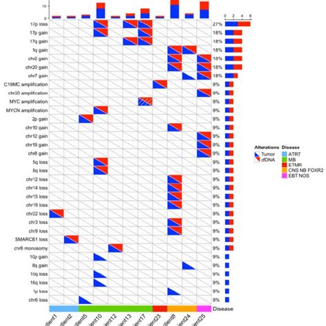 Genetic Alterations Detected In Tumor Tissue And Cfdna Extracted From Download Scientific