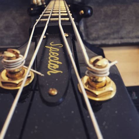 My Bass Practice Practice Practice P Practice Session Bass