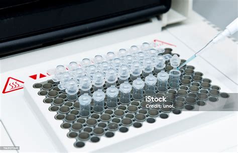 Peneliti Mencampur Dna Polimerase Dan Dntp Dengan Pipeting Dalam Tabung