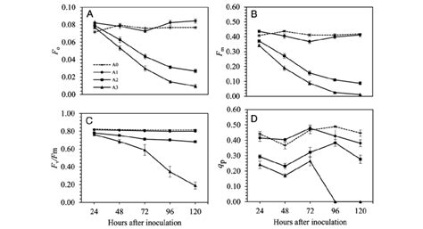 A Initial Fluorescence F 0 B Maximal Fluorescence F M C
