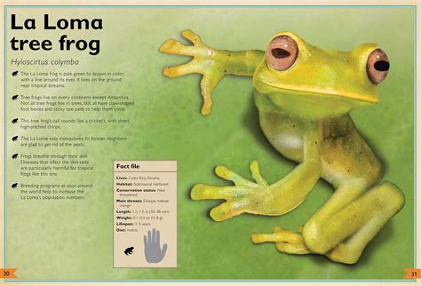 The Magnificent Book Of Endangered Animals Book By Morgan Val